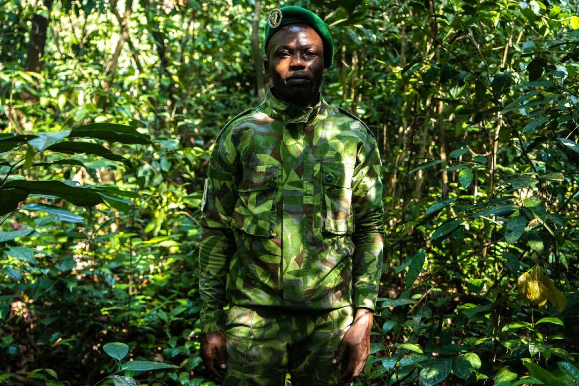 Le Gabon préserve sa forêt tropicale, puits de carbone mondial | Africanews