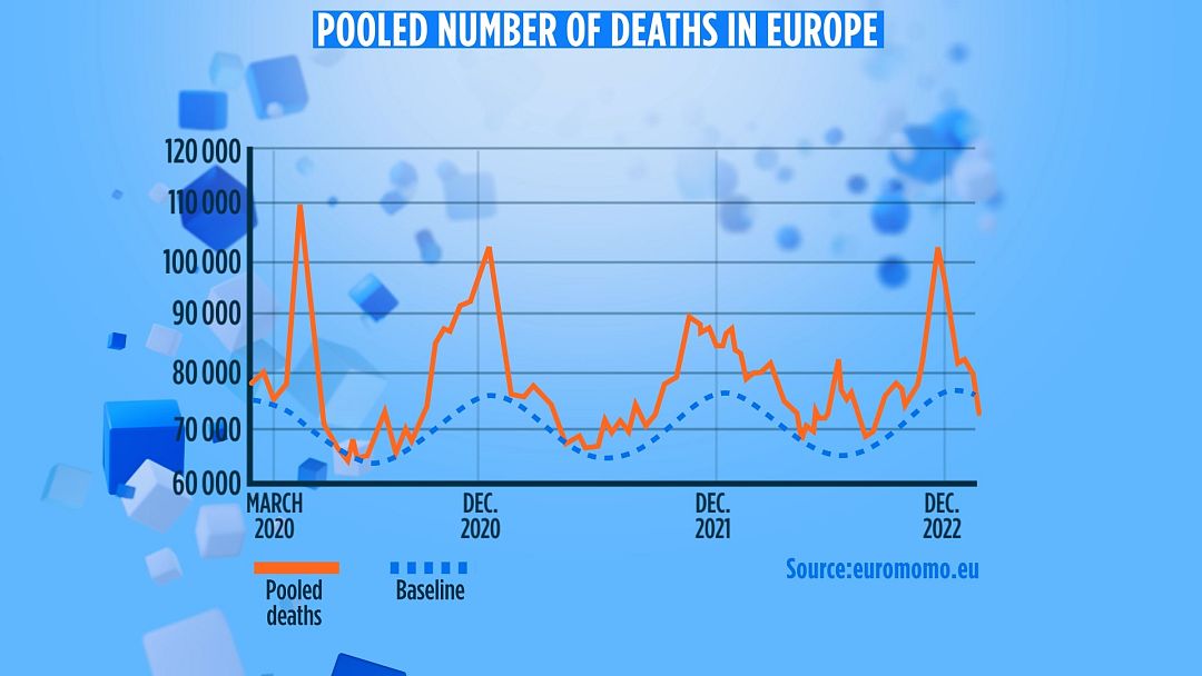 Post-COVID excess mortality rates: What do they tell us about the state ...