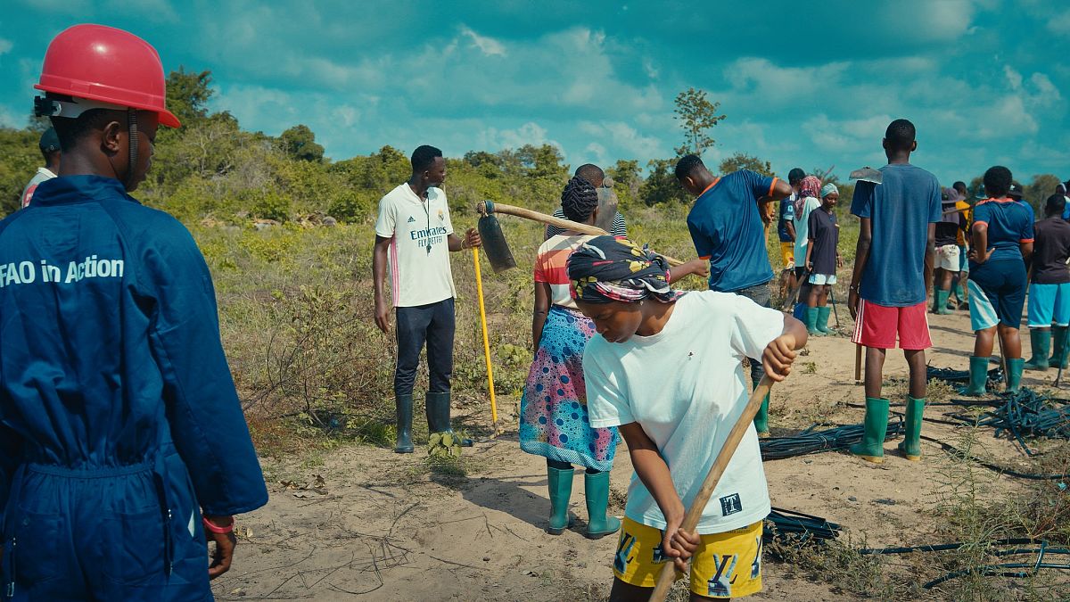 Meet the Tanzanian farmer revolutionising the horticultural landscape ...