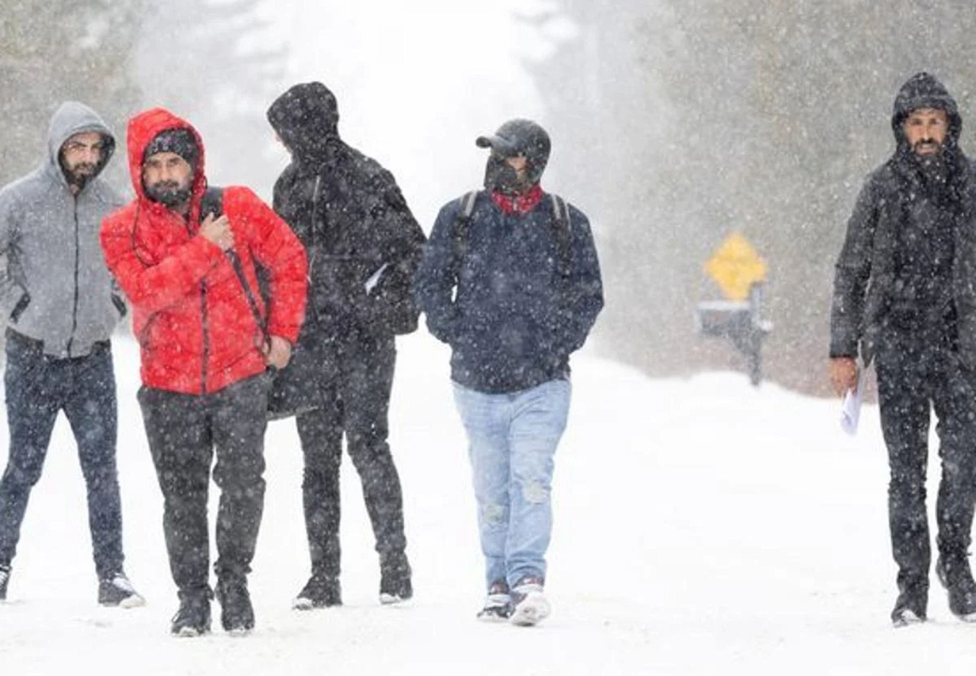 'Roxham Road': Sığınmacıların Kanada'ya geçişlerde kullandığı yolun ...
