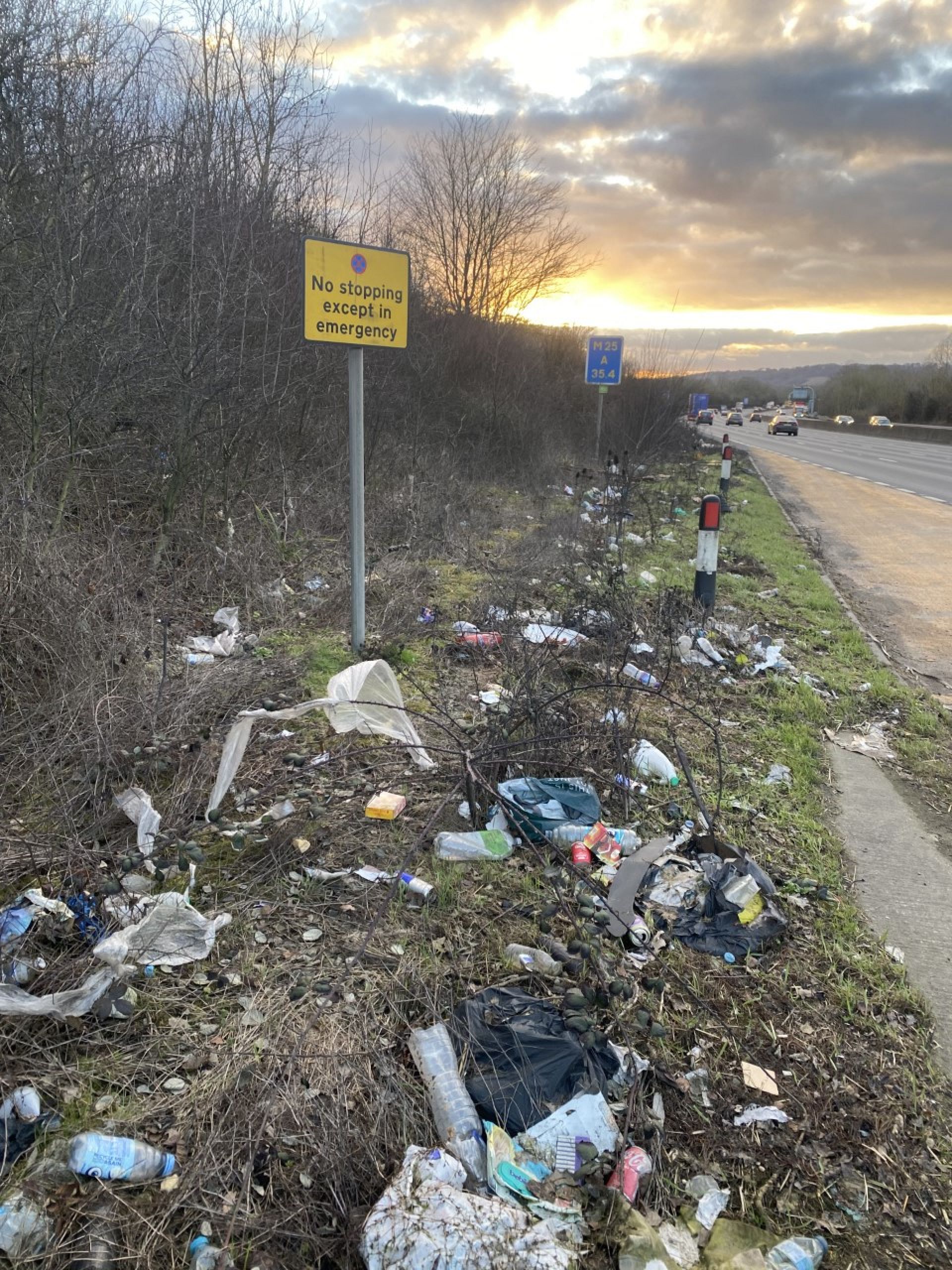 'Welcome to a filthy, littered dump called Britain' | Euronews