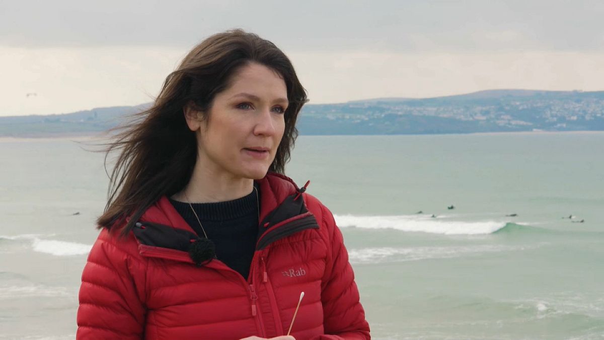 Die Heilkraft der Meere: eine gefährdete Apotheke | Euronews