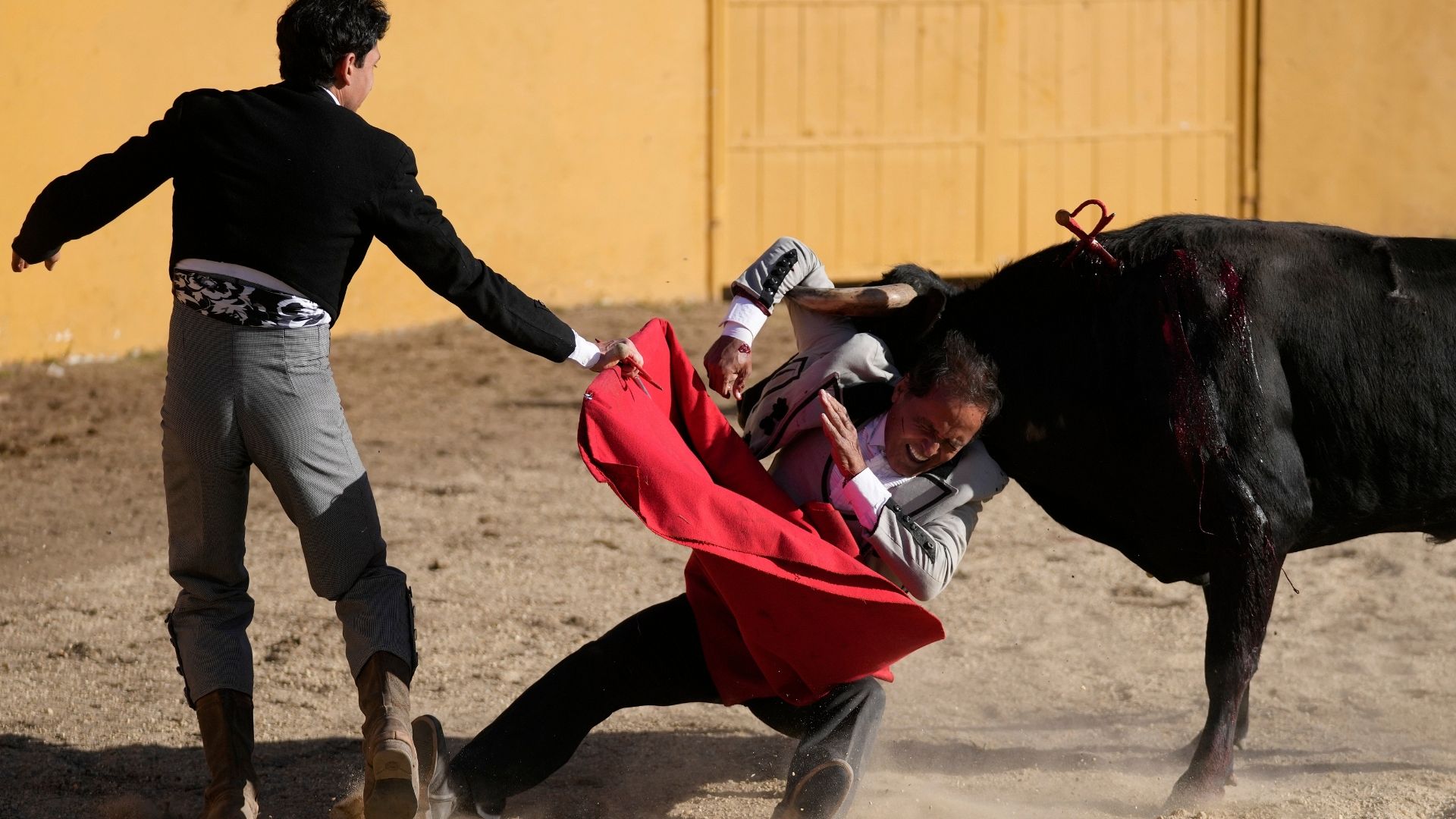 Where is bullfighting still legal? Colombia ban sheds light on Europe’s ...