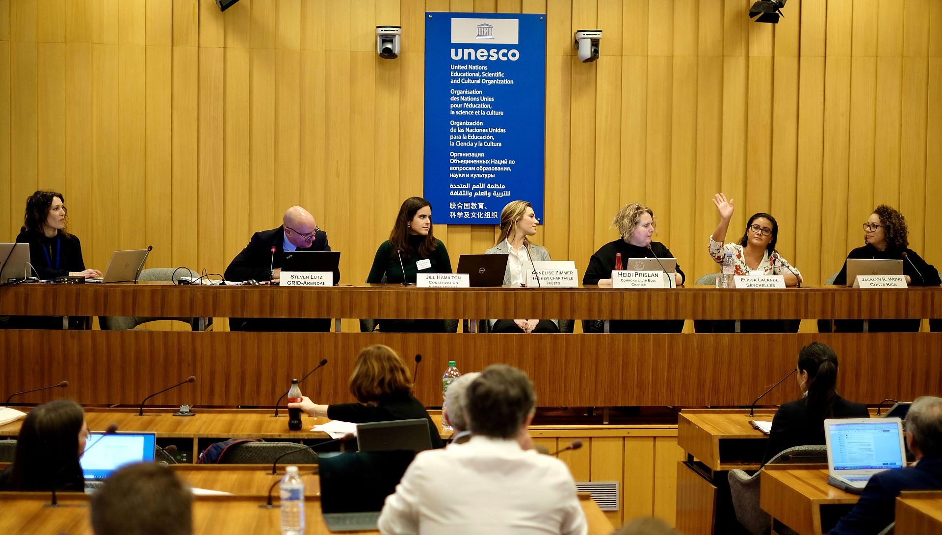 If done with integrity, carbon offsetting could be vital in the fight ...