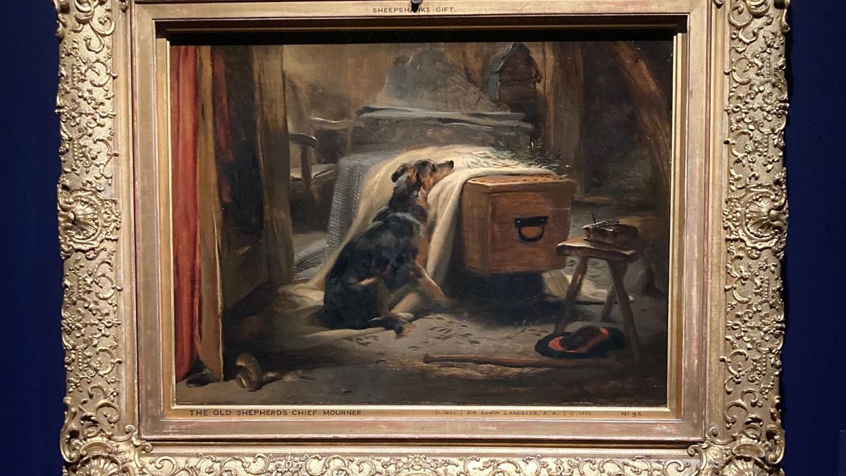 Portraits of Dogs: London's Wallace Collection explores canine ...