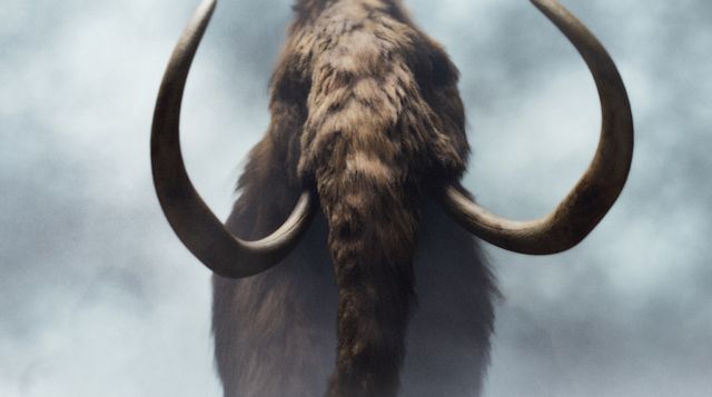 Tonight's Special: Meatball from extinct mammoth | Euronews