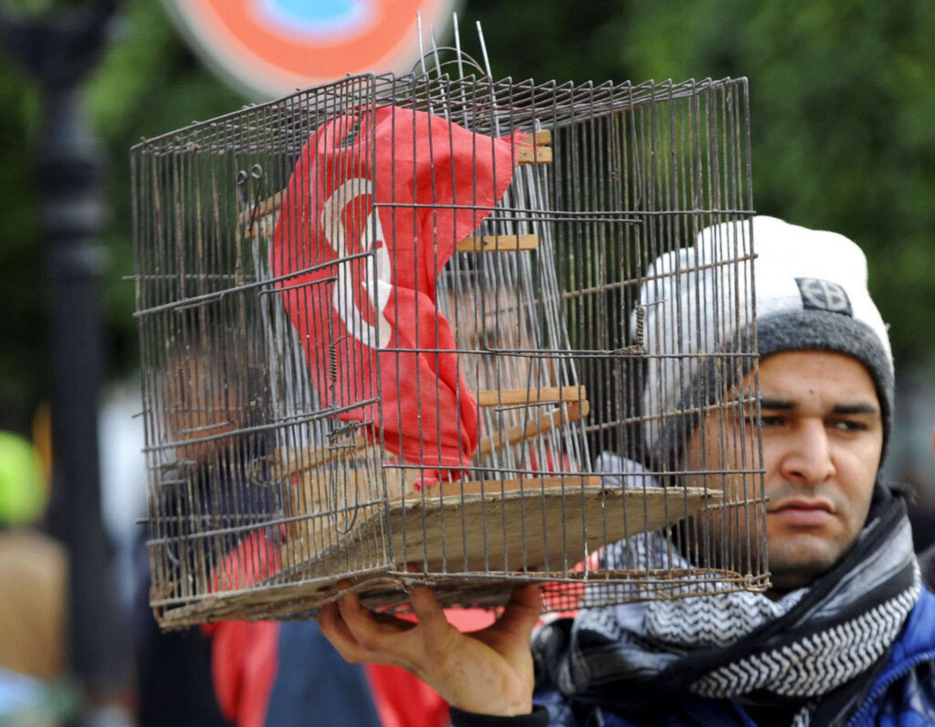 The EU should know the rise of autocracy in Tunisia won't be fixed with ...