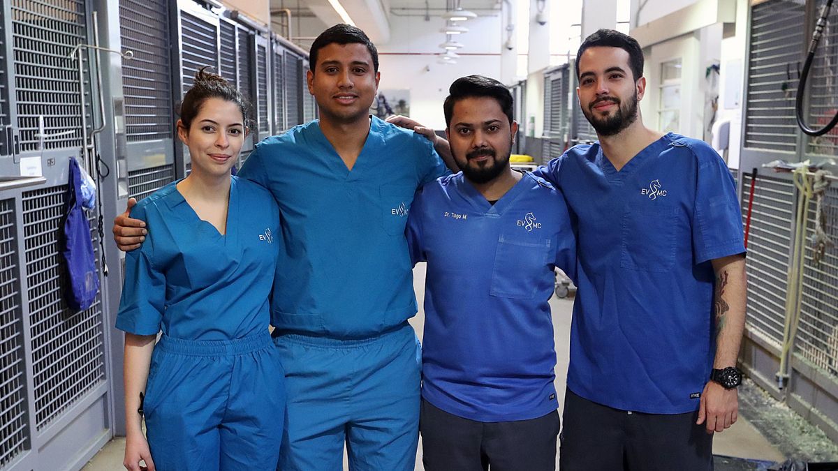 Meet the veterinary interns treating sick and injured horses in Qatar ...
