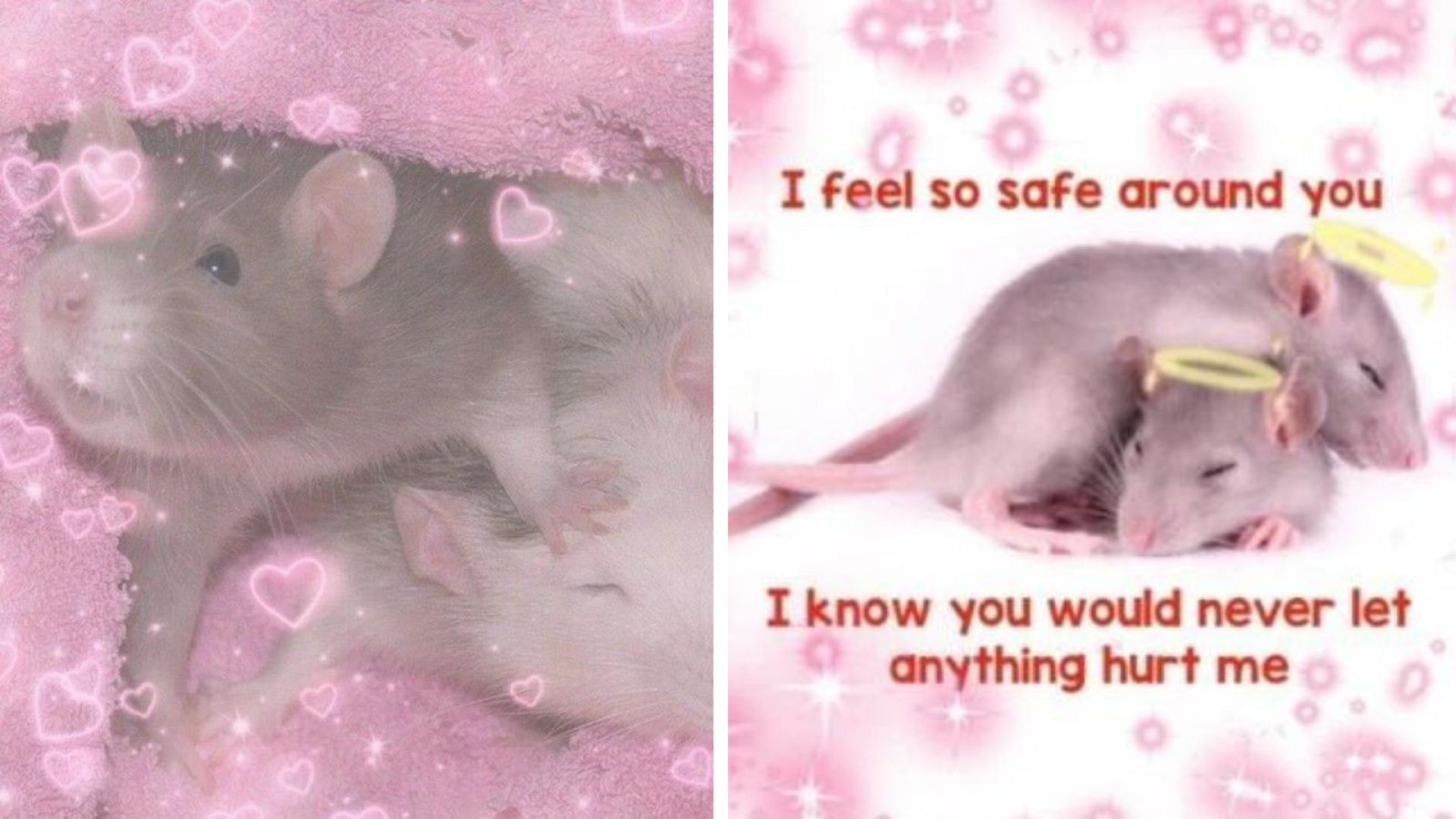 Core blimey! Euronews Culture's comprehensive A-Z glossary to Gen Z's ...