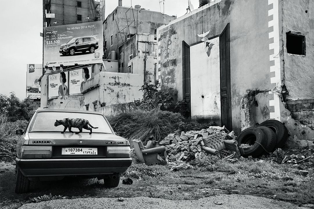 'Reclaim the Street': A celebration of street photography across the ...