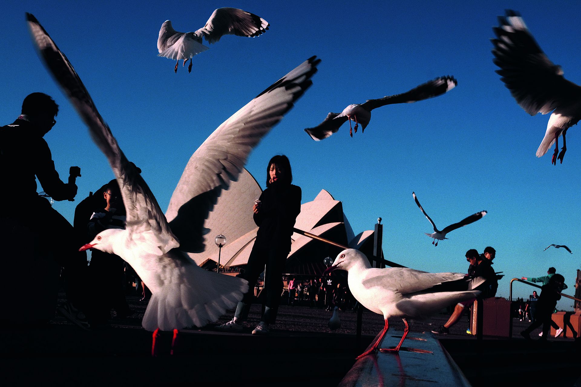 'Reclaim the Street': A celebration of street photography across the ...