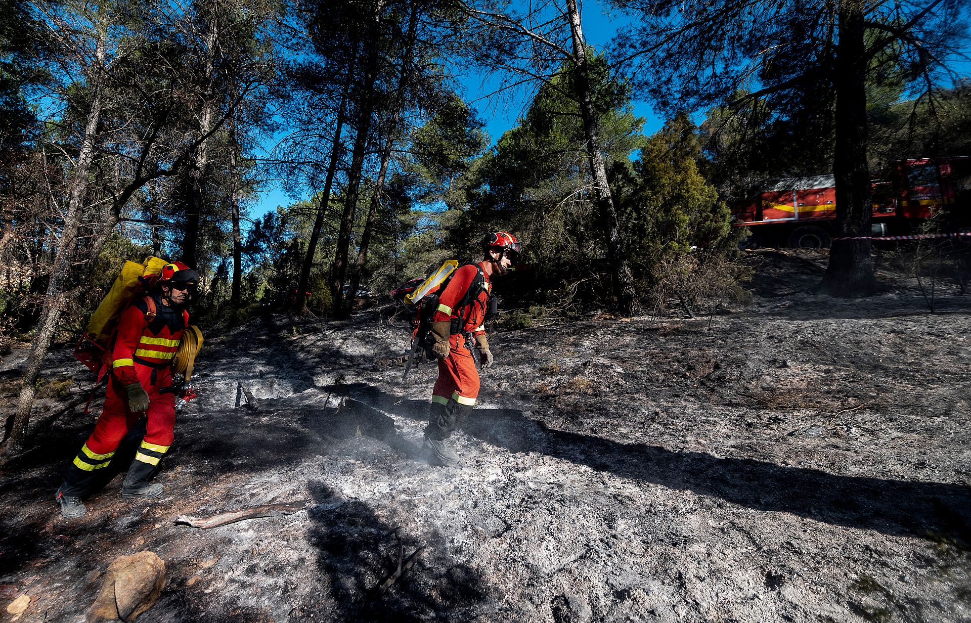 Espagne : incendies de forêt dans le sud du pays | Euronews