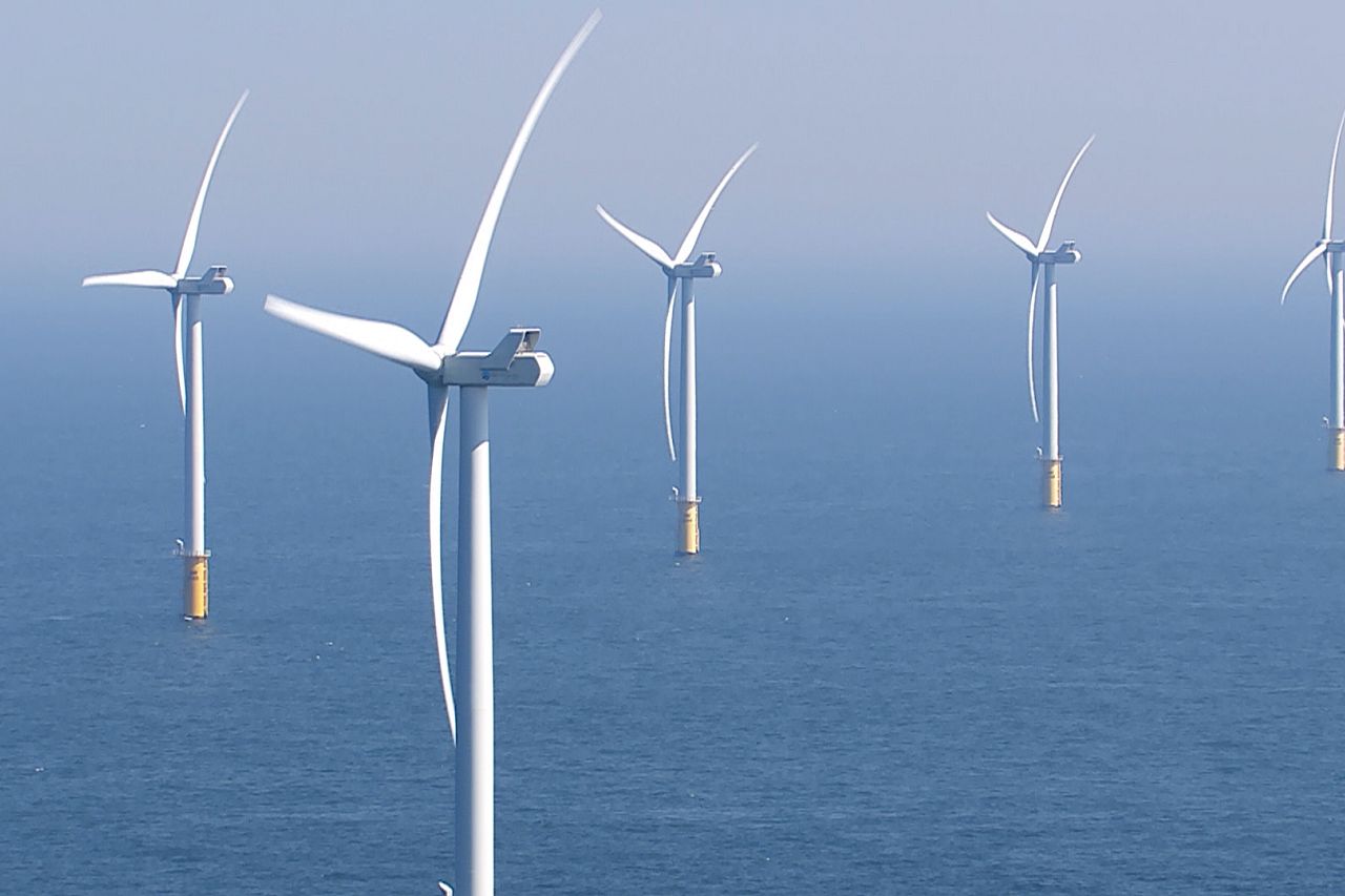 Climate Now - Latest episodes, latest news and updates about | Euronews