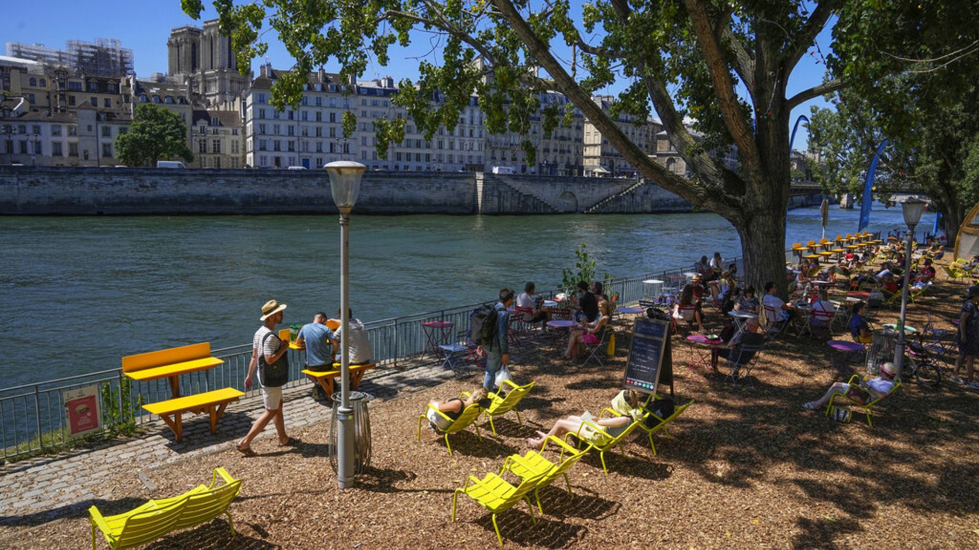 Swim the Seine: Paris plans river cleanup ahead of 2024 Olympics | Euronews