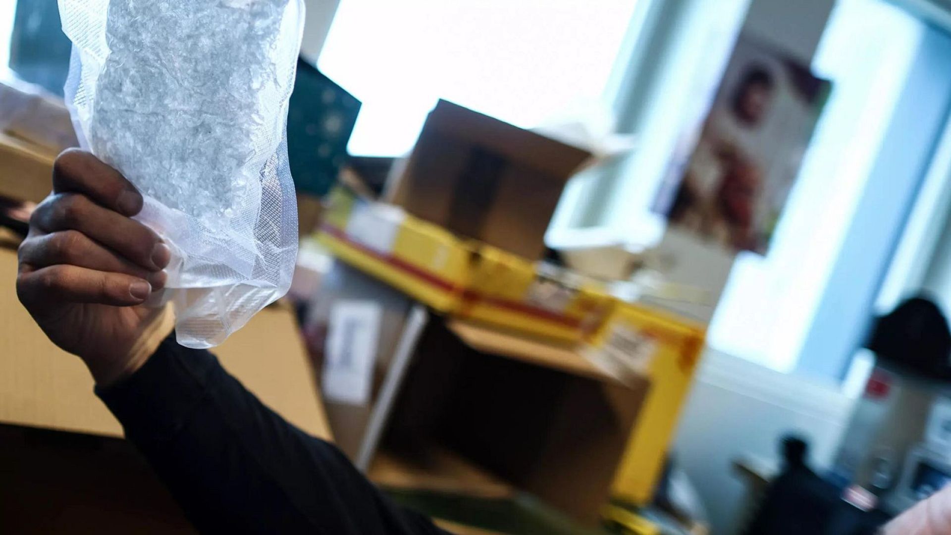 Putting the E in Easter: Drug bunnies seized in Belgium | Euronews