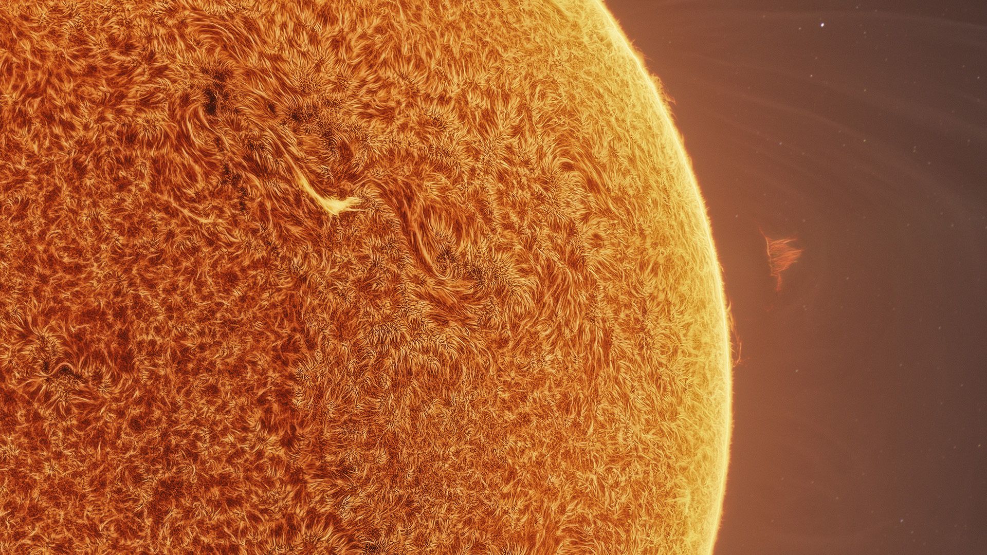 How a backyard photographer helped create this stunningly detailed shot ...