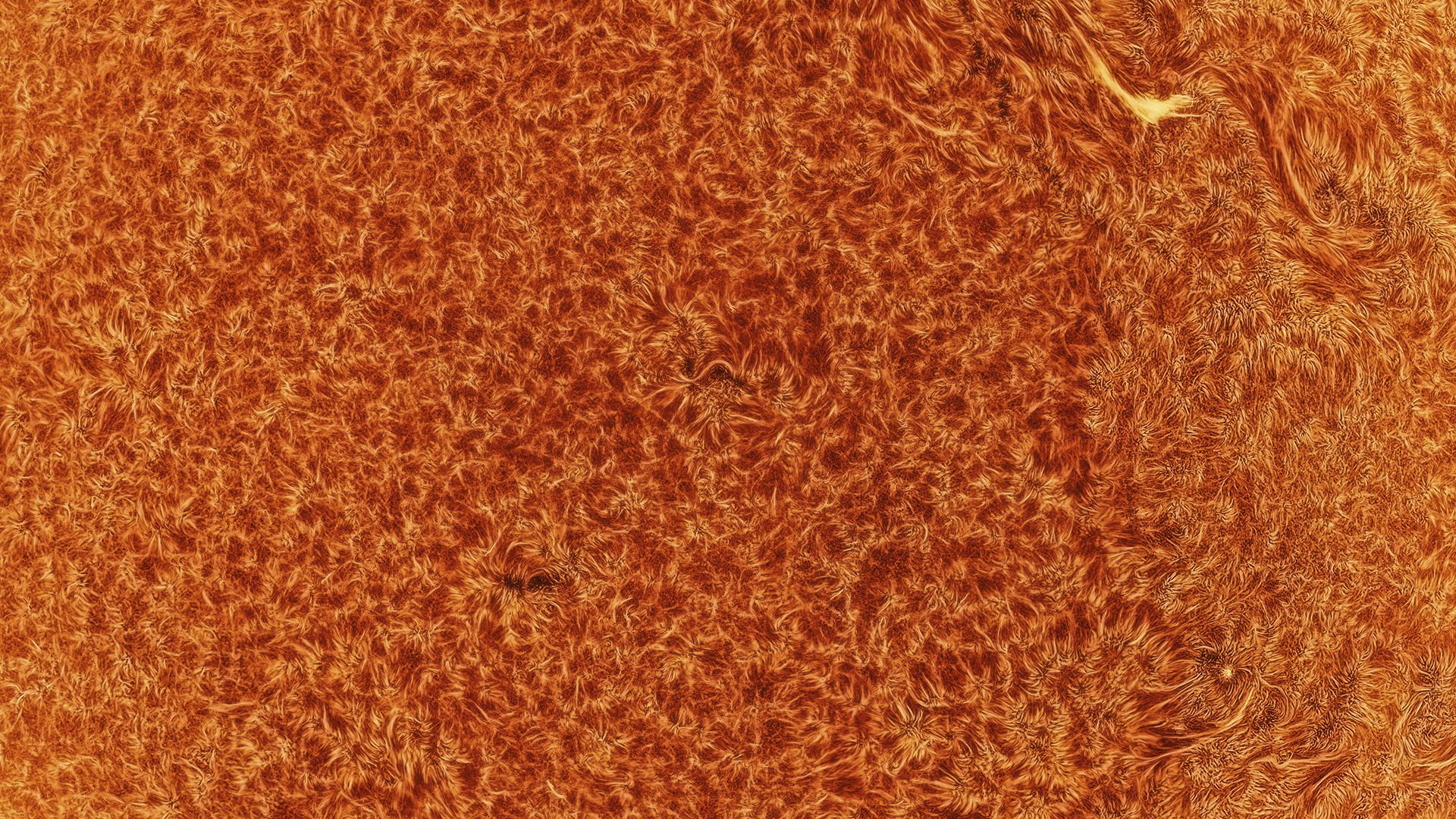 How a backyard photographer helped create this stunningly detailed shot ...