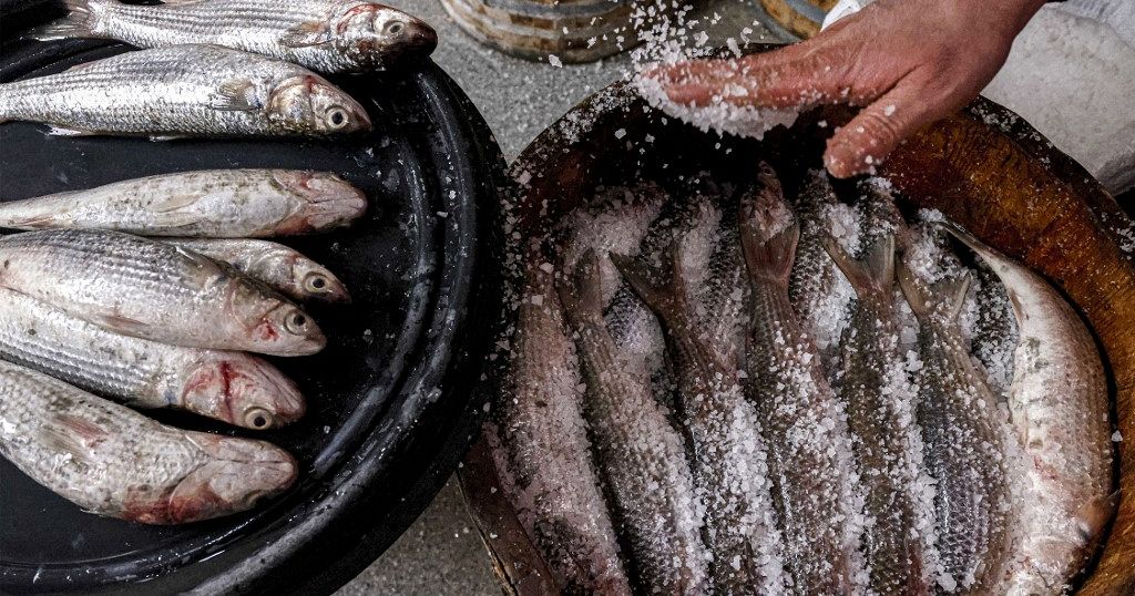 Le "fessikh", incontournable poisson salé égyptien | Africanews