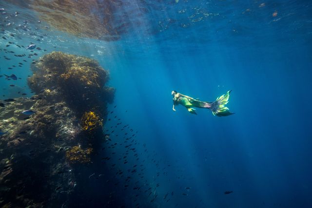 Loved The Little Mermaid? How and where to try out 'mermaiding' on your ...