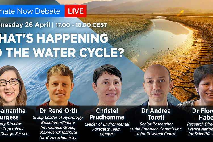 Climate Now - Latest episodes, latest news and updates about | Euronews