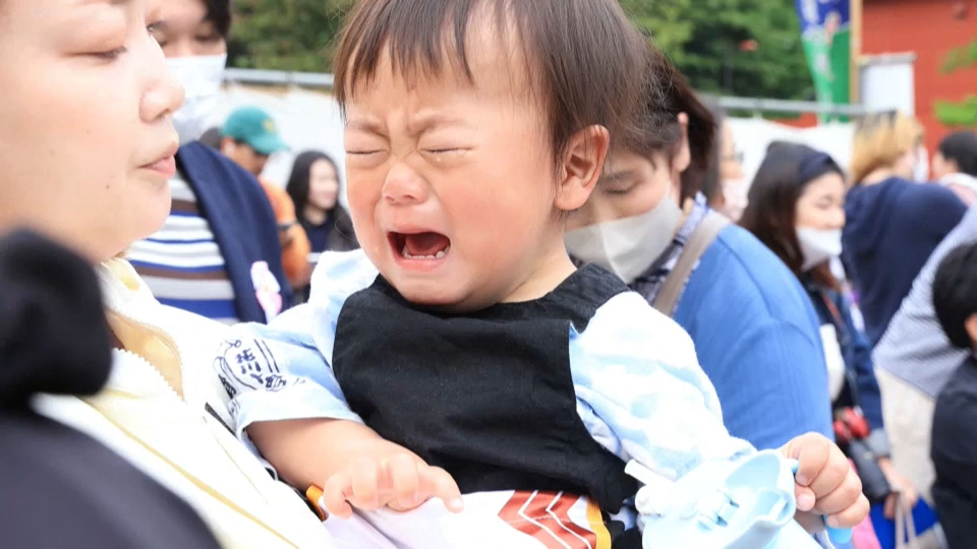 Video. Sumo Showdown: Tears and triumphs in Japan's Baby Crying Contest ...