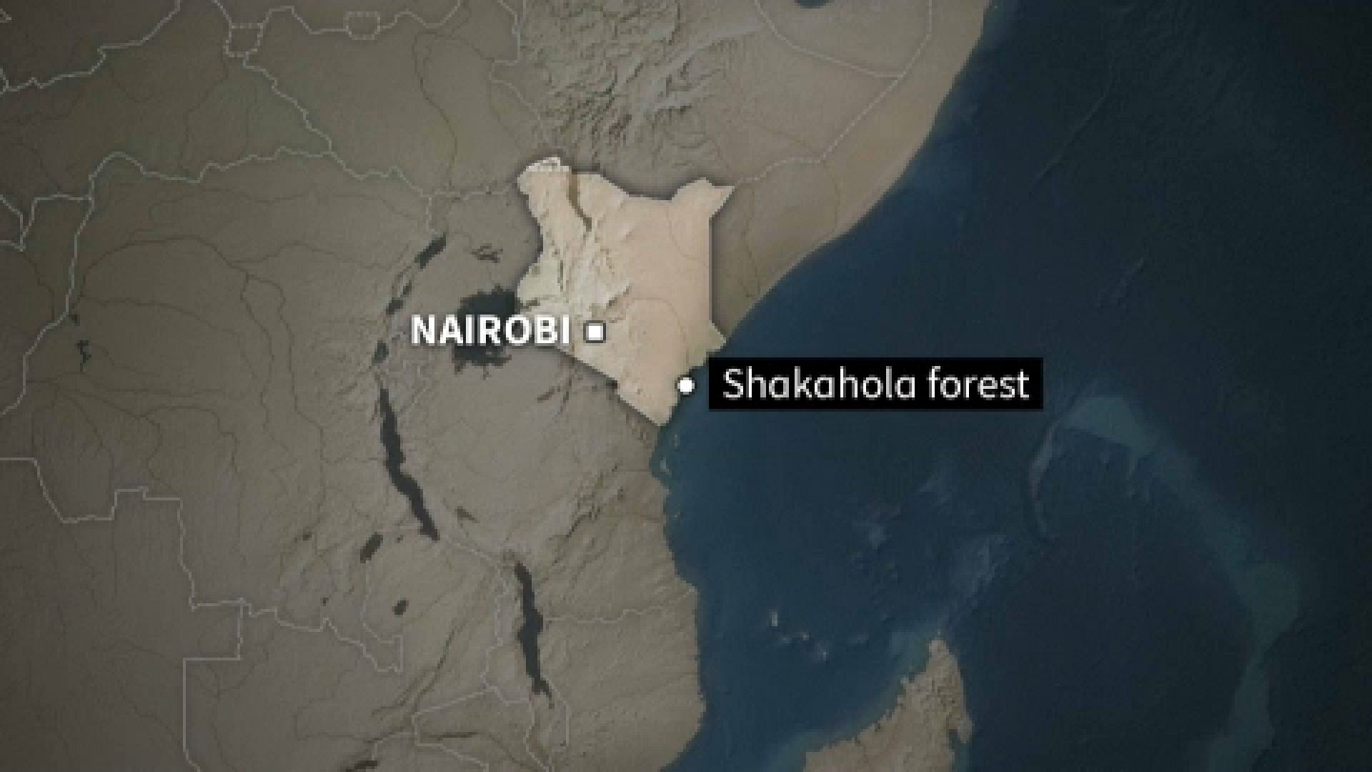 La setta che digiuna fino alla morte: fosse comuni rinvenute in Kenya ...