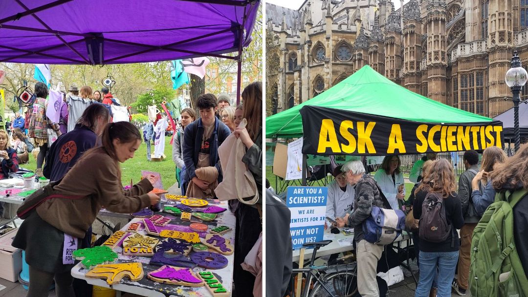 Over 60,000 people came out for XR’s climate protest: Who were they and ...