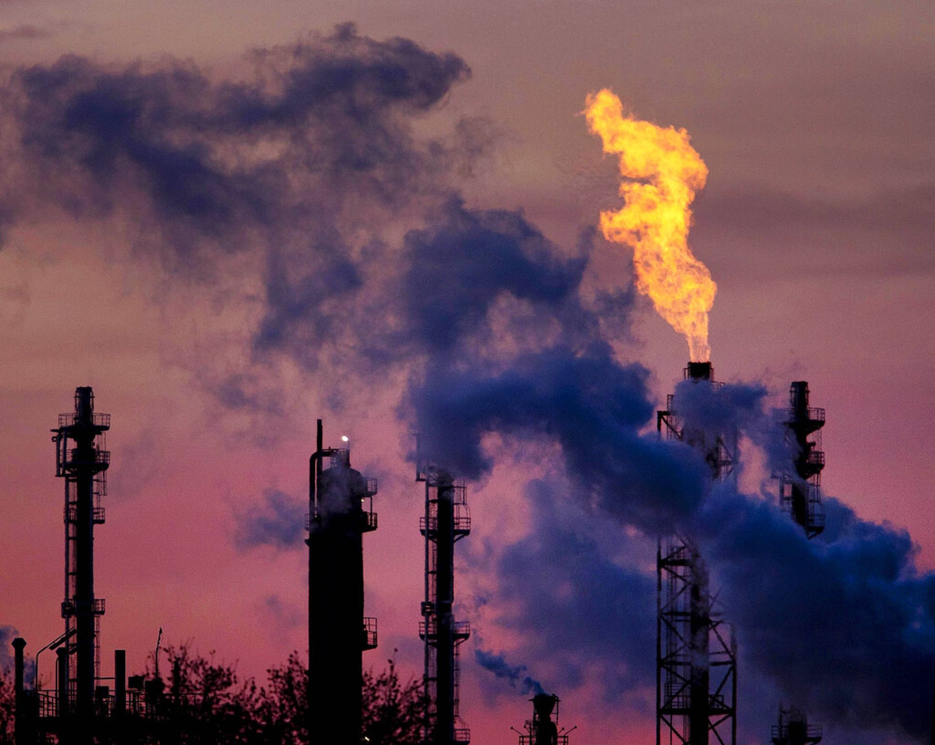 It's time to tackle BASF’s legacy of pollution and end its burden ...