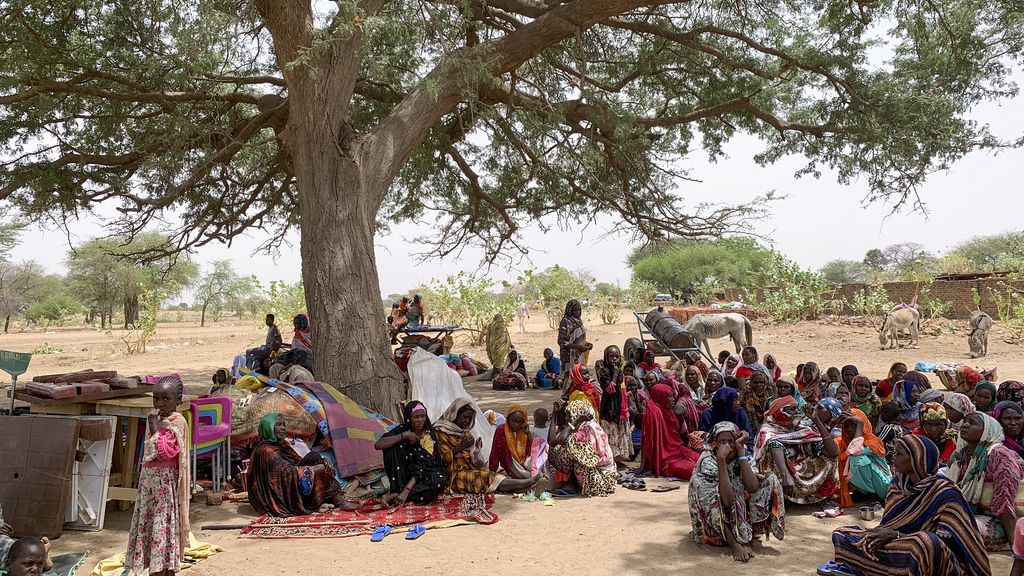 Tchad : le PAM espère une aide pour les réfugiés soudanais | Africanews