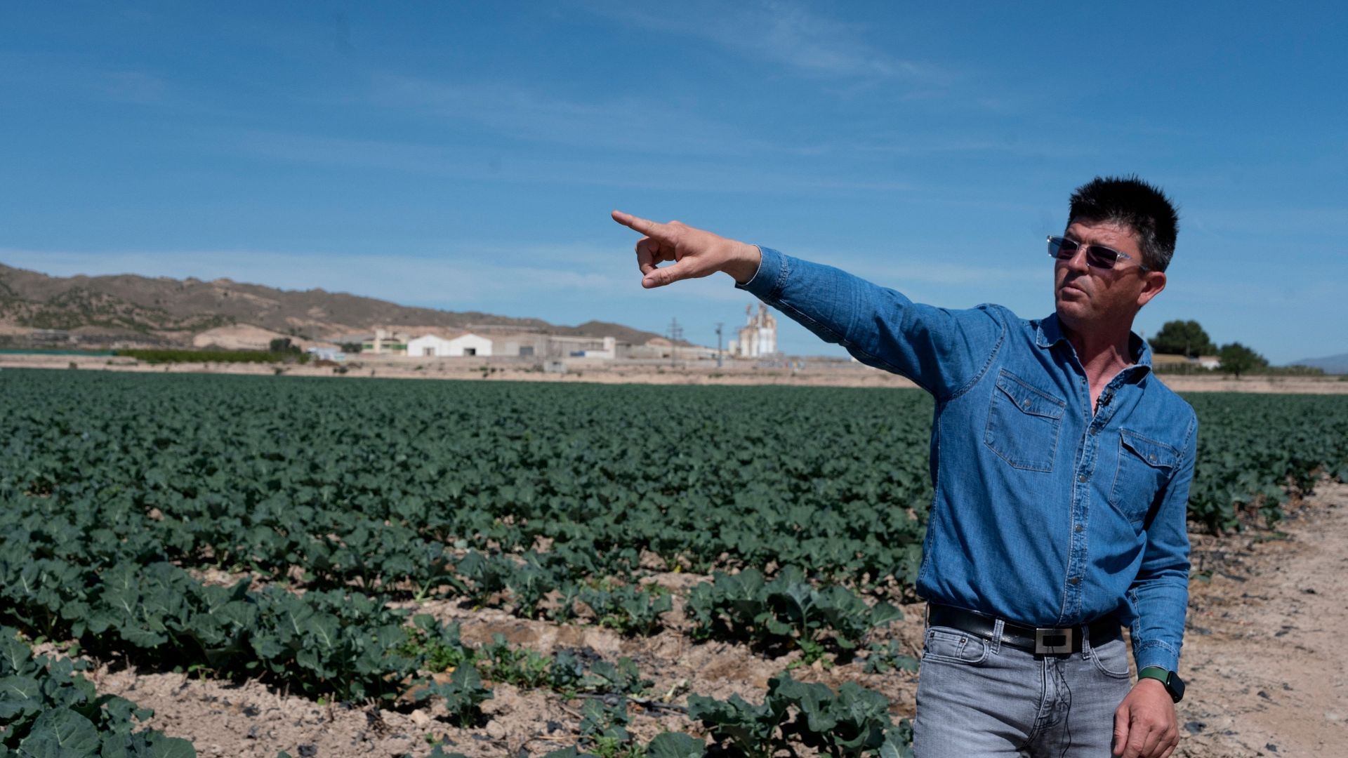 Murcia’s farmers fear for the future as Spain cuts water supplies from ...