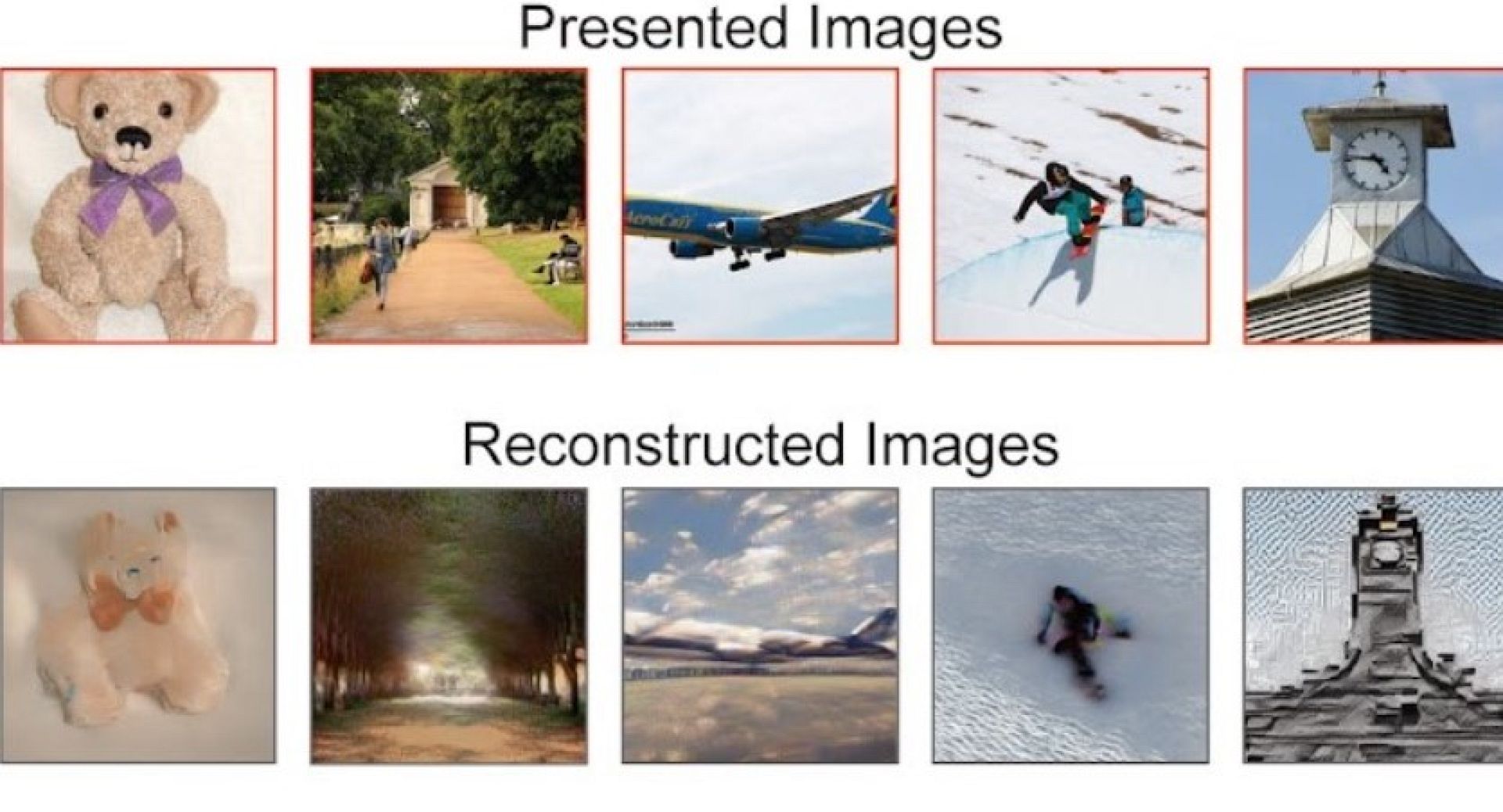 Reading your mind: This AI system can translate thoughts to text | Euronews