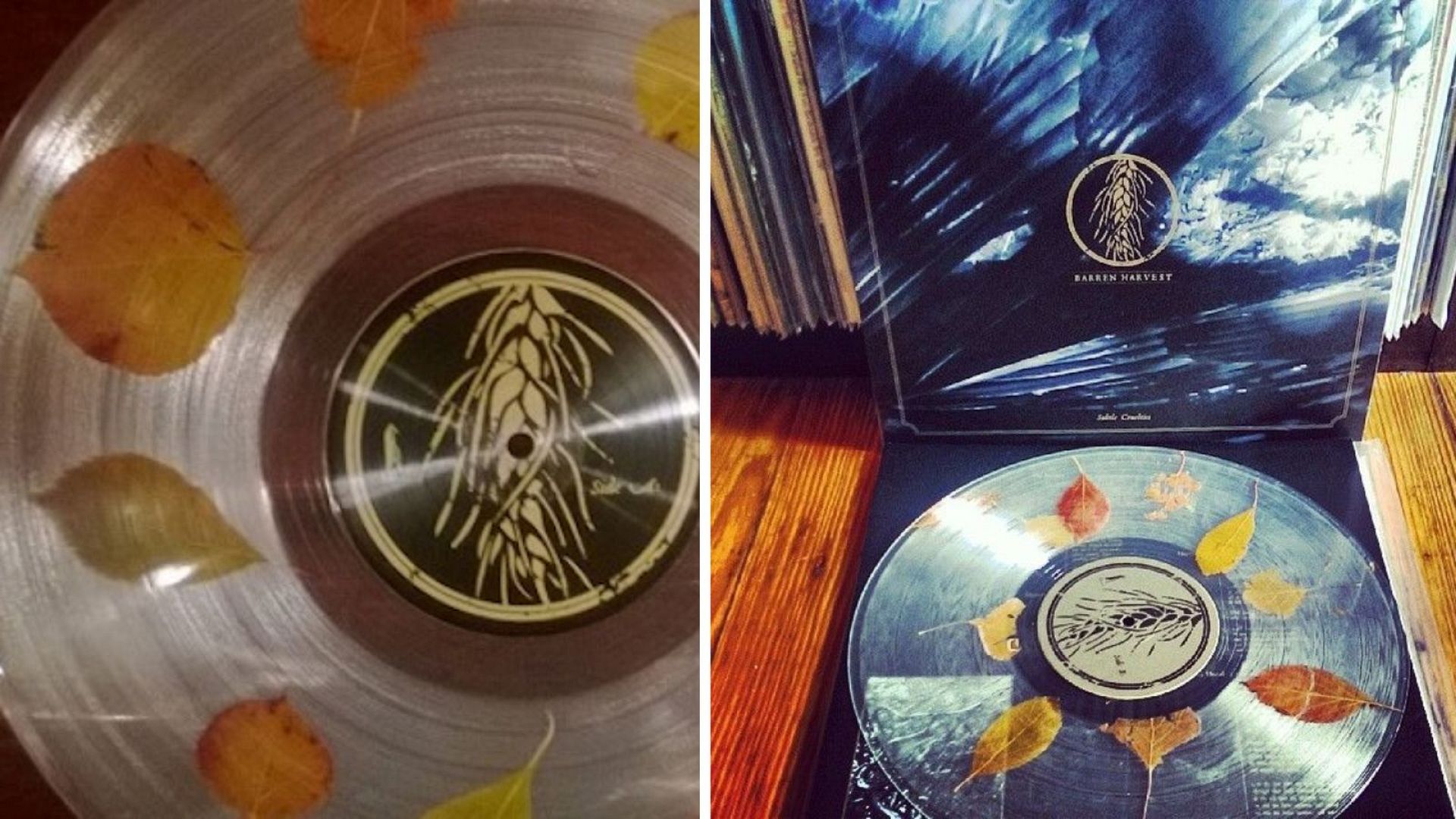 Fall Out Boy have sold a vinyl with actual human tears - Here's a ...