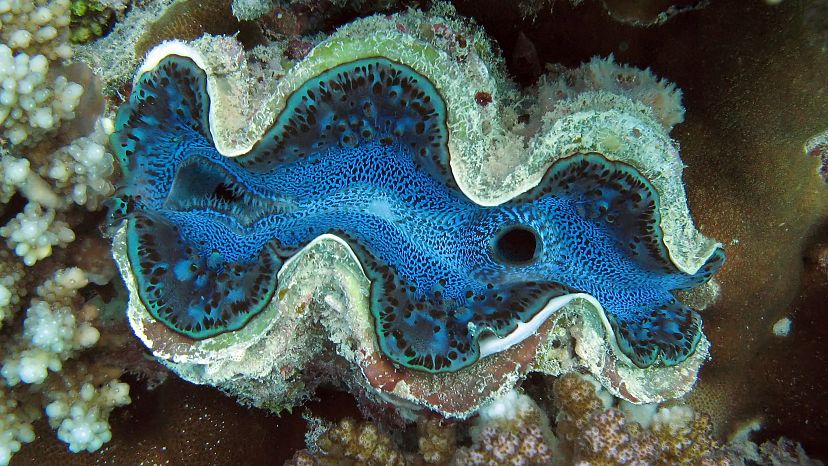 Exclusive ecotourism: Luxury and adventure go hand-in-hand in The Red ...