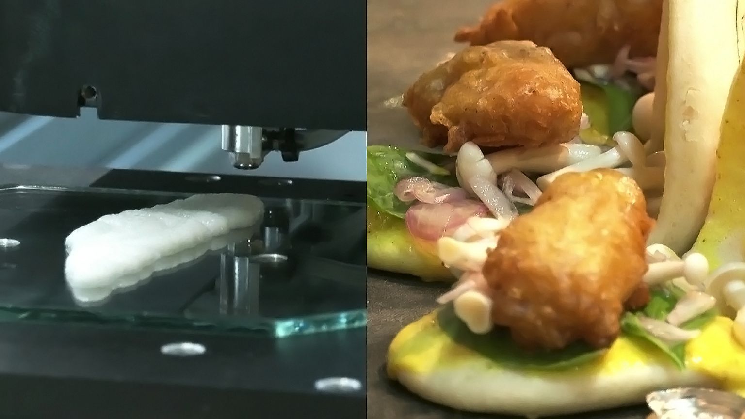 Our oceans could be empty by 2048. This start-up is 3D printing fish to ...