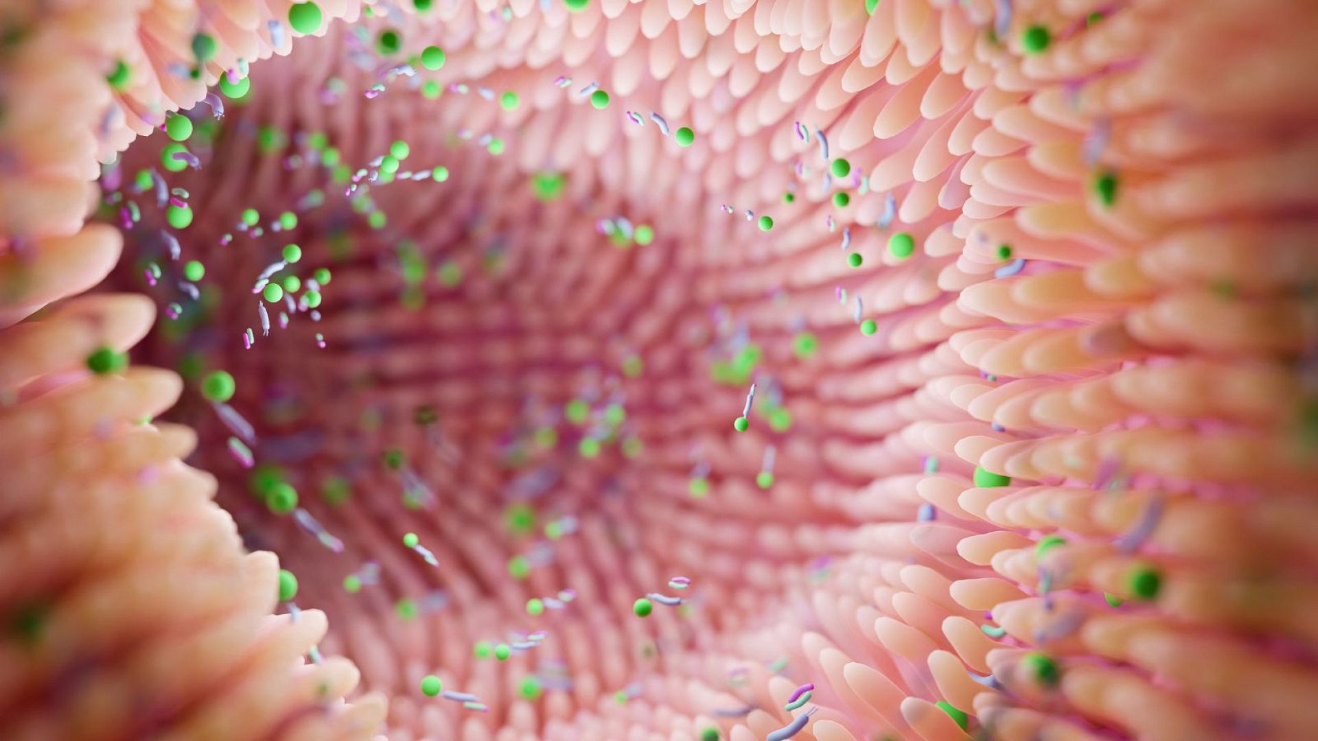 Gut bacteria may hold the key to preventing Parkinson's disease, say ...