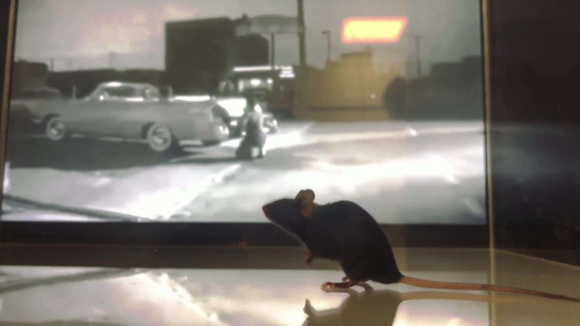 A new AI tool that can decode brain signals proves '95% accurate' on ...