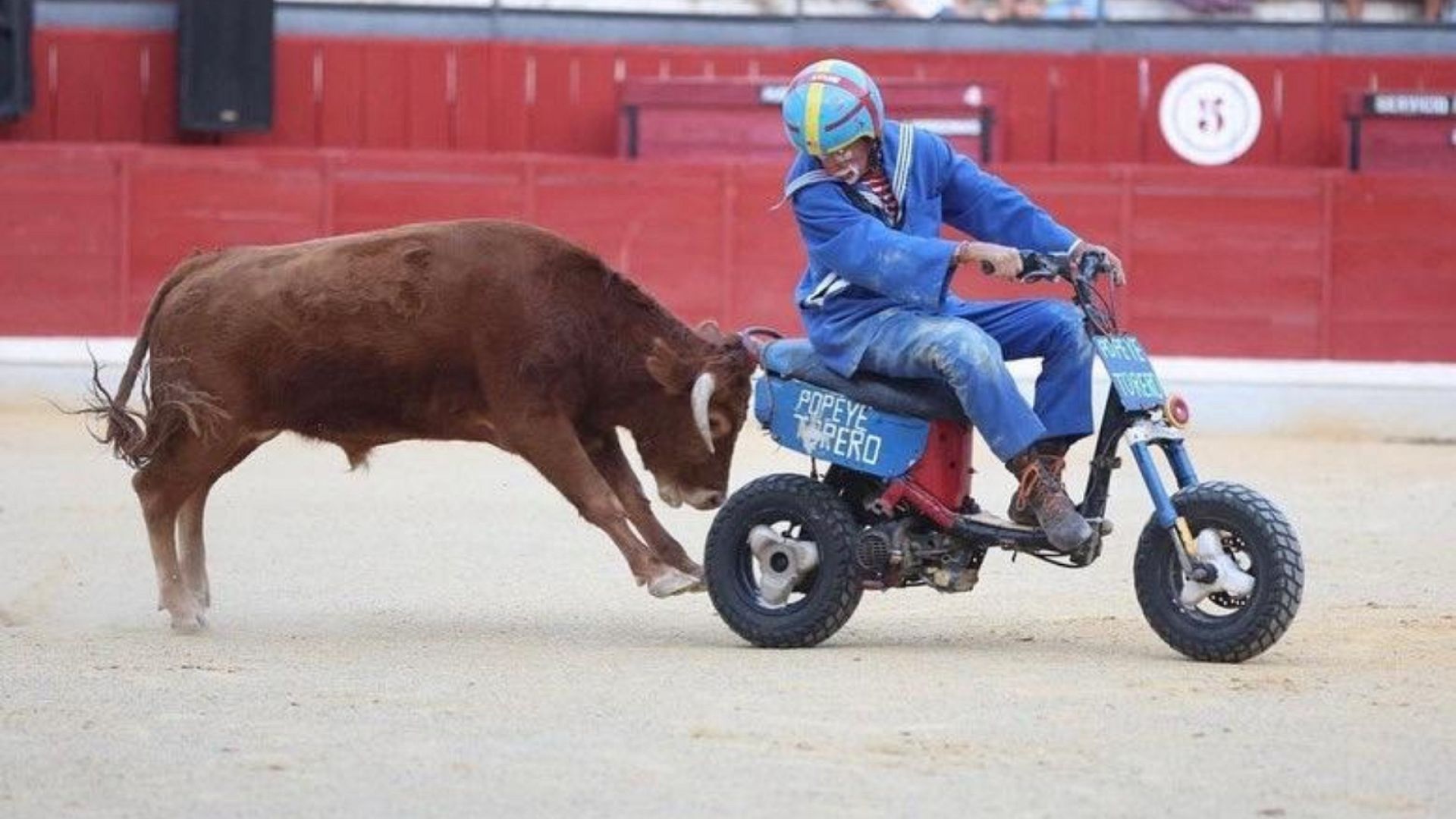 Spain's dwarf bullfighters, the bombero toreros, see red over their ...