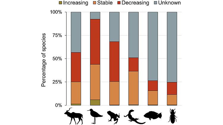 Almost half world’s species seeing rapid population decline, study ...