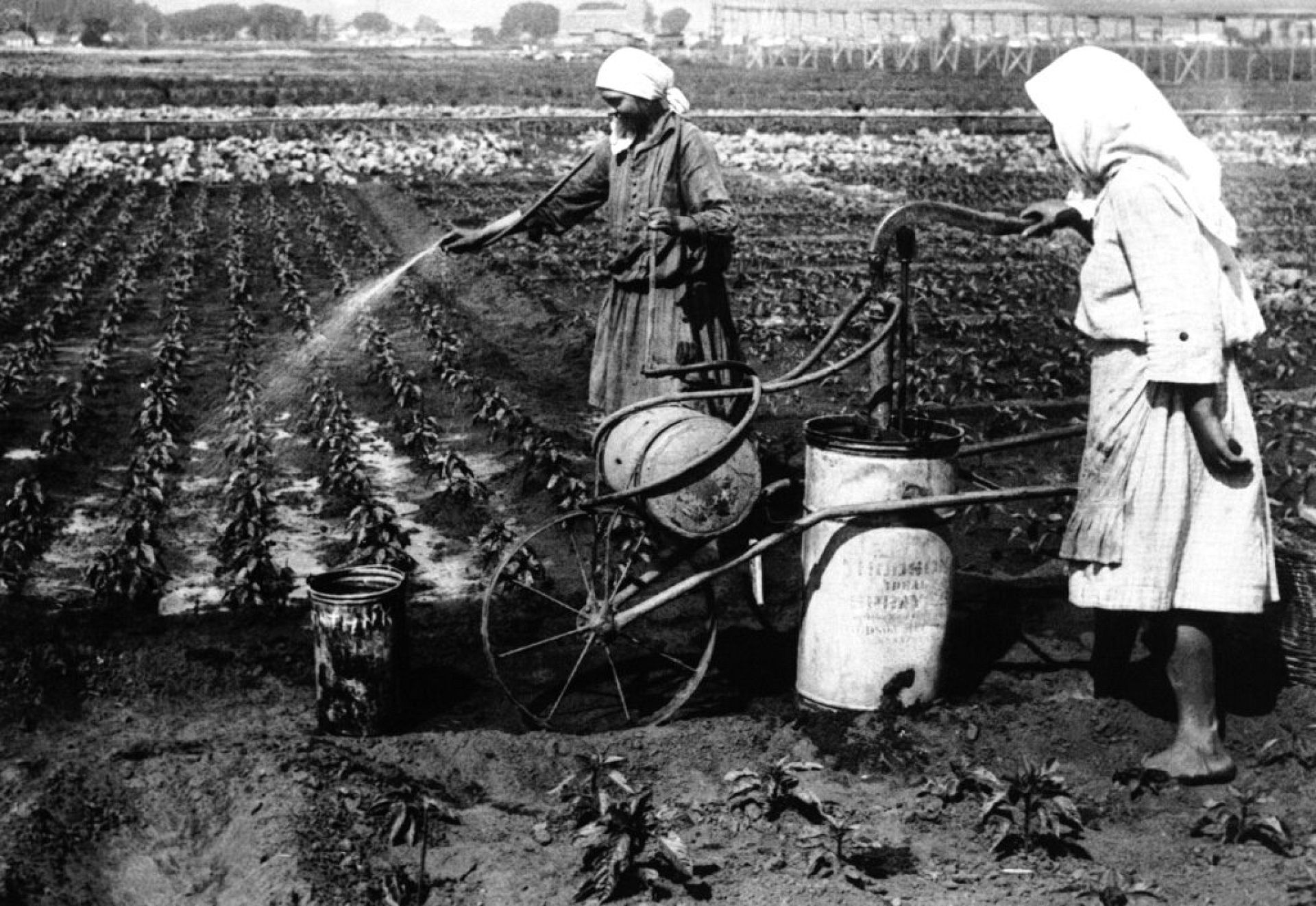 European parliaments are recognising Ukraine's Soviet-era Holodomor famine as genocide. Why now ...