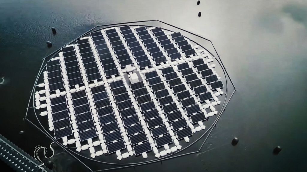 Business Planet - Latest episodes, latest news and updates about | Euronews