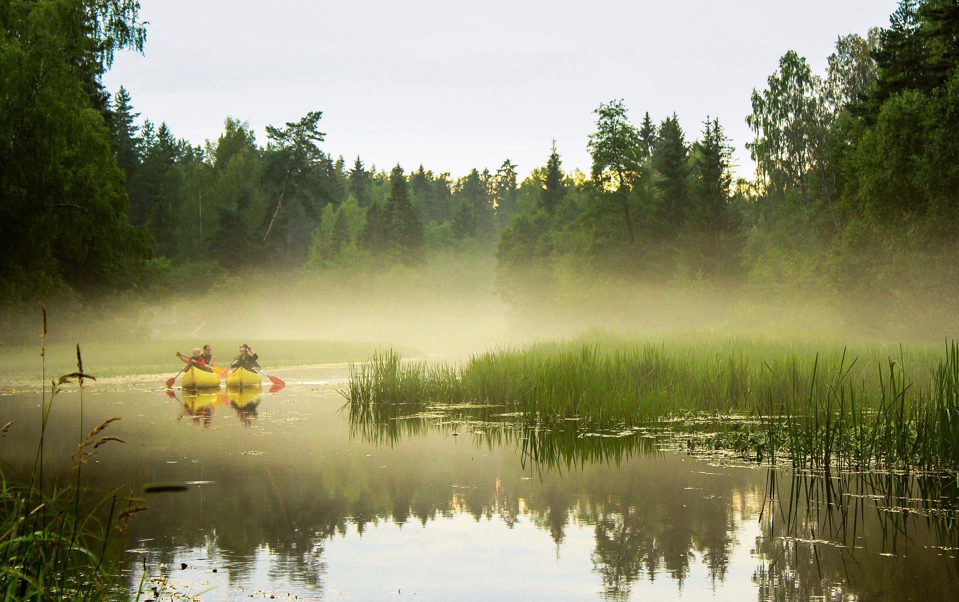 Are you an eco-conscious traveller? Here’s why Estonia should be your ...