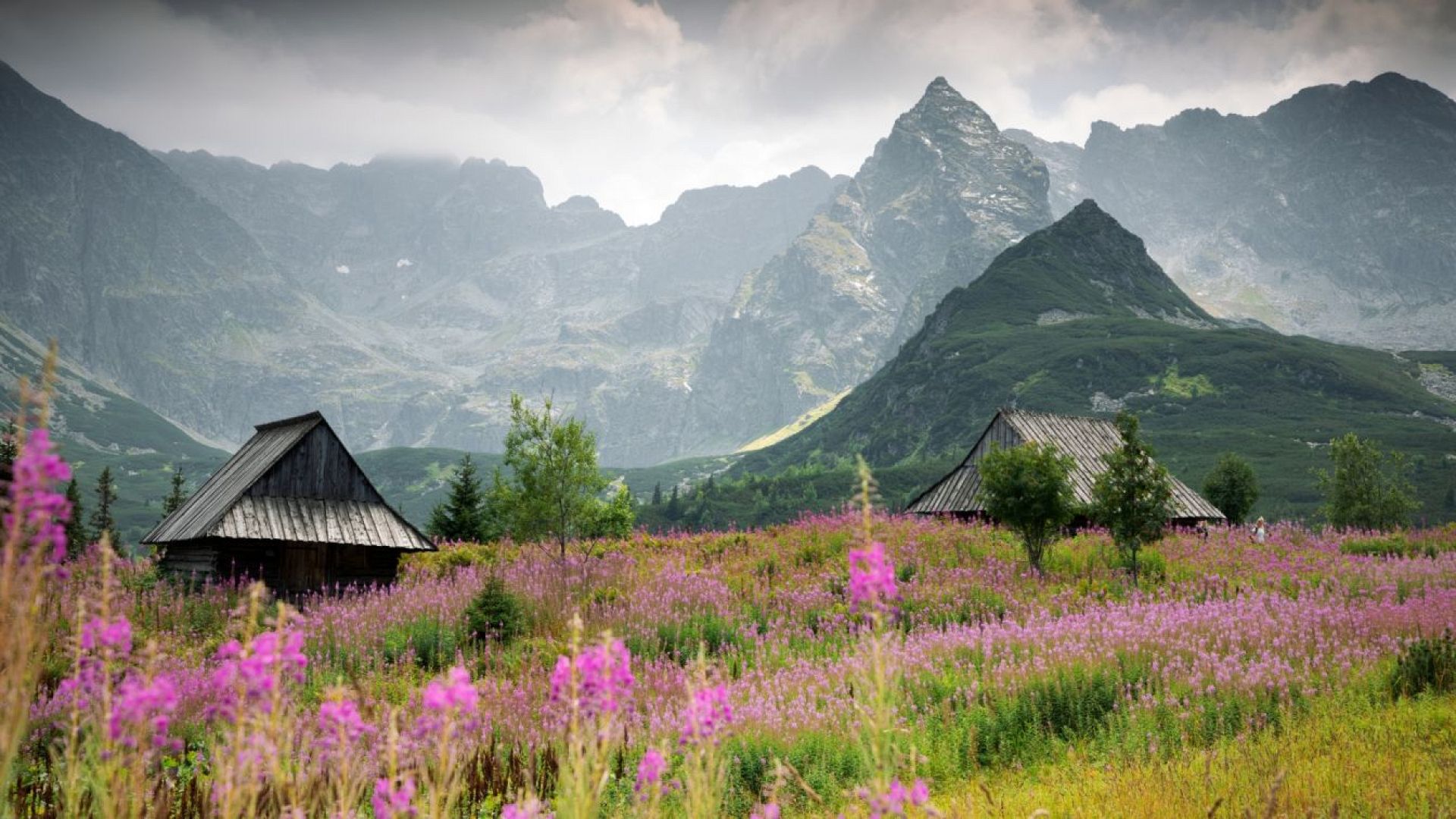 Scenic trails and cheap travel: This eastern European mountain town is ...
