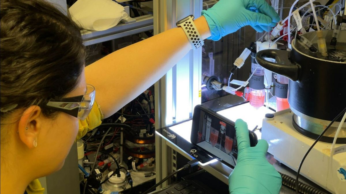 ‘Like Google Street View’: NVision’s quantum tech allows MRI imaging to ...