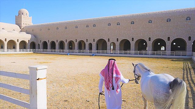 Meet the Qatari sportsman reviving the ancient tradition of horse ...