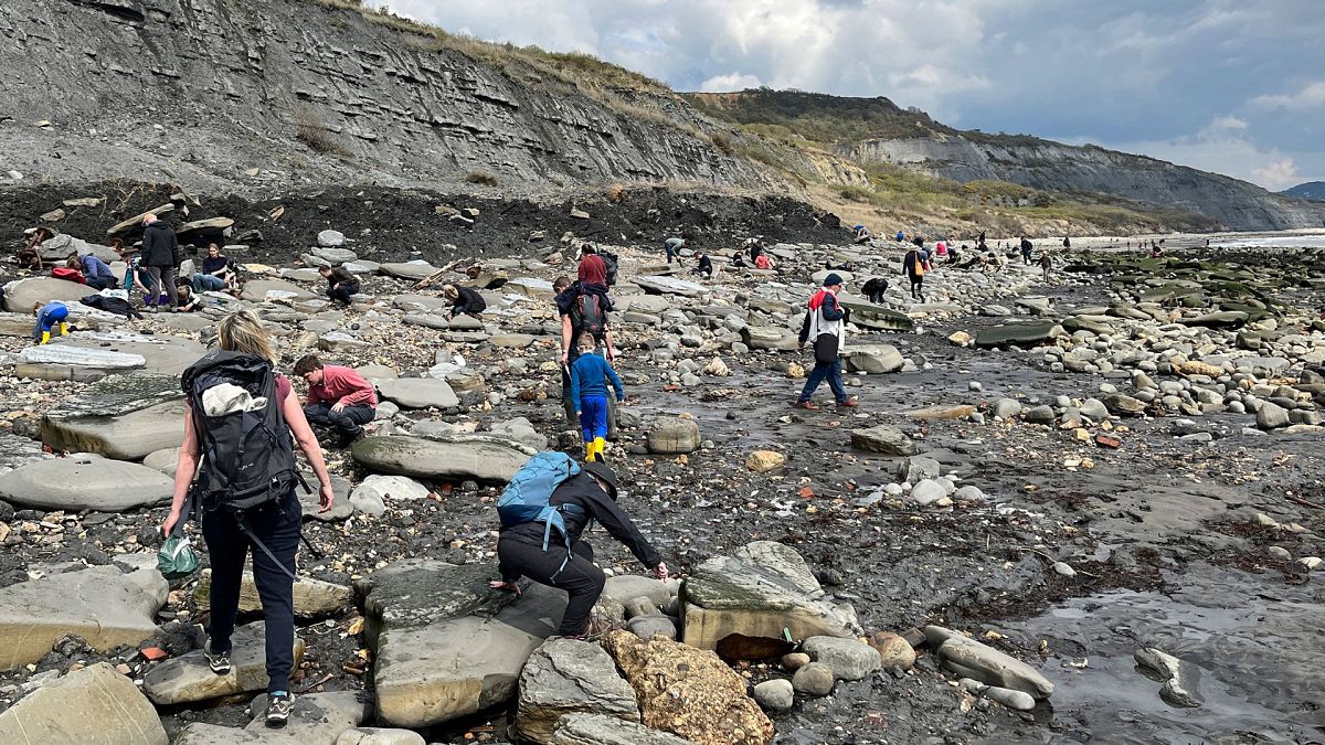 Summer hikes: Fossil hunting and towering cliffs await you on England’s ...