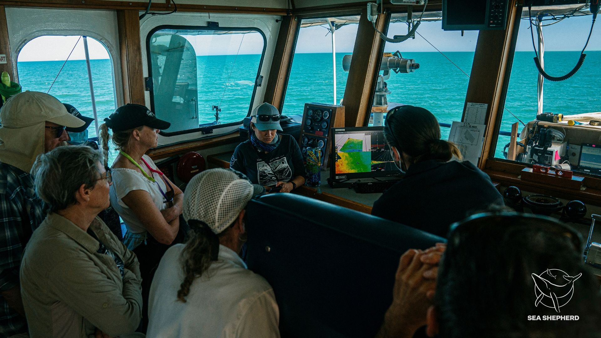 ‘We can’t stop now’: Baby vaquita gives hope for species, but ...