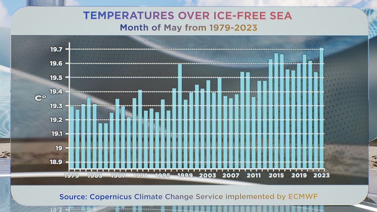 Alien ant invasion: how climate change helps exotic species colonise ...