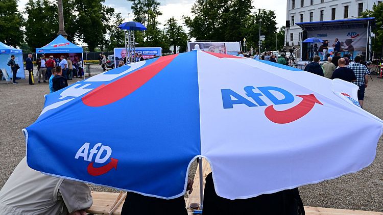Should Germany ban AfD? What impact could this have? | Euronews