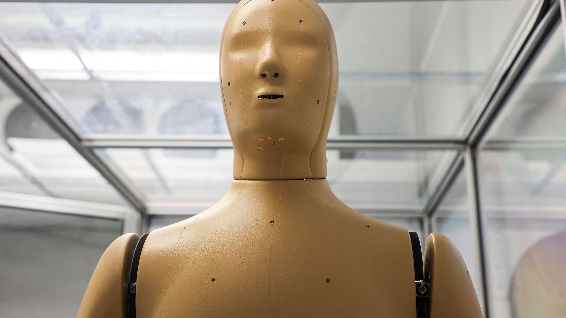 Meet ‘ANDI’, the sweating thermal dummy aiding research to solve heat ...