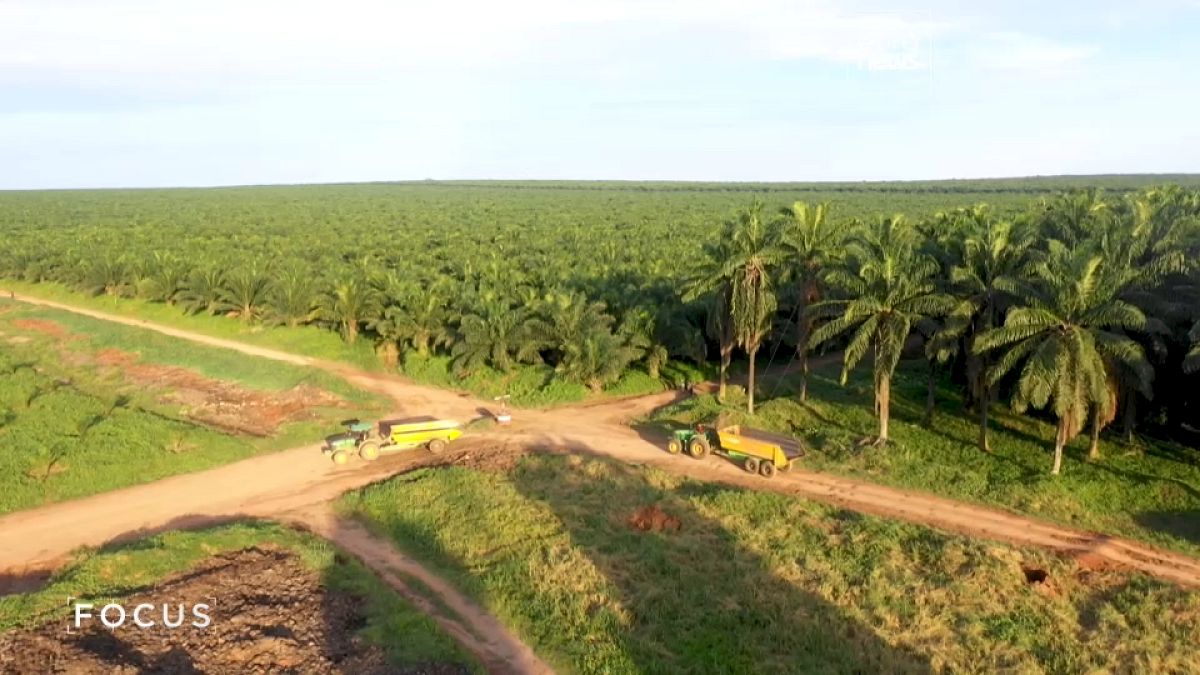 La RD del Congo ha intensificado sus reformar para atraer a inversores ...